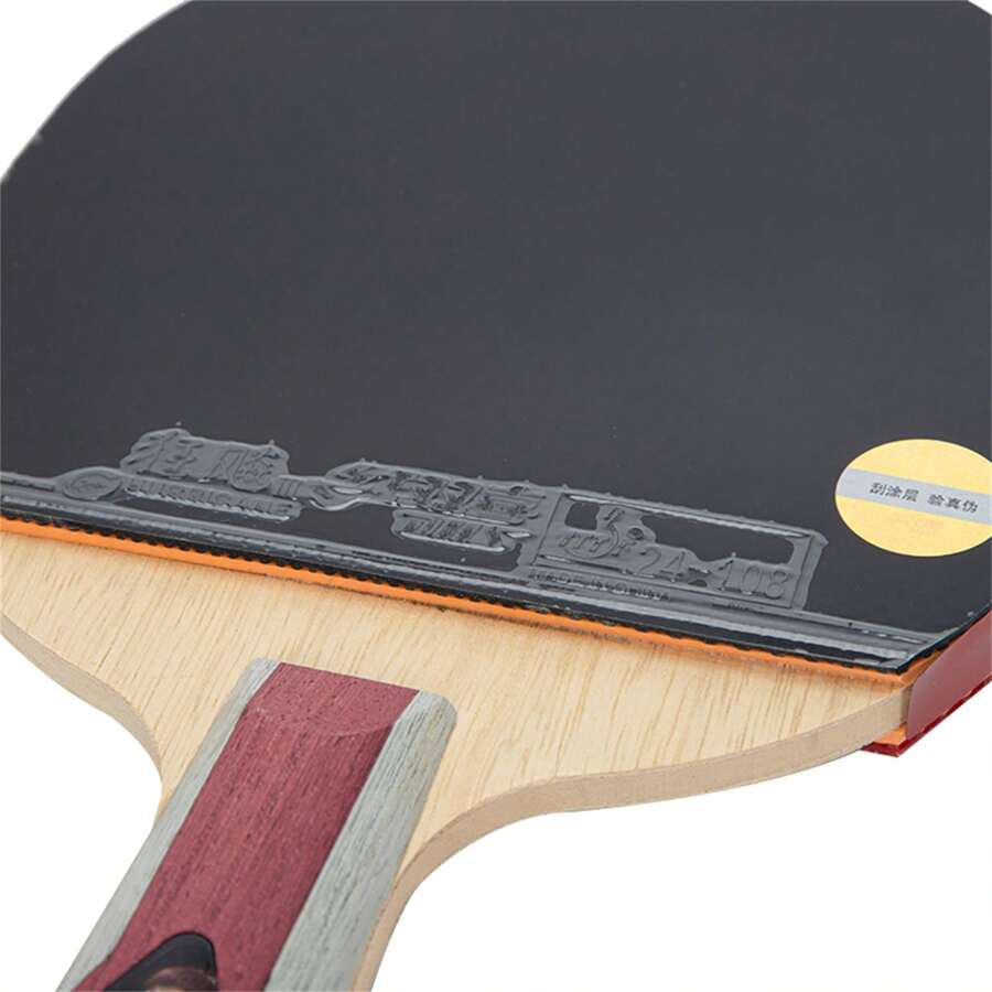 Dhs Raquete de Ping-Pong com Revestimento de Borracha de 6 Estrelas Dupla Face para Homens e ...