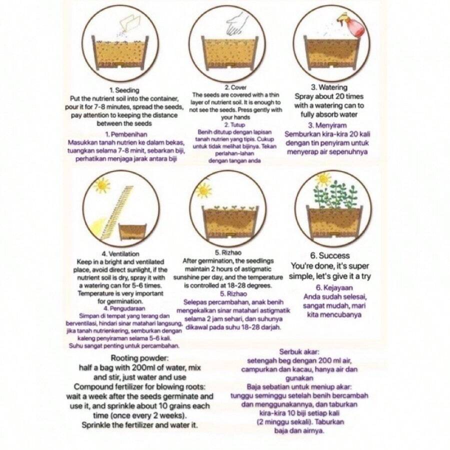 [Ready Stock] Biji Benih Bunga Mendaki Mawah Warna Campur Flower Seeds ...