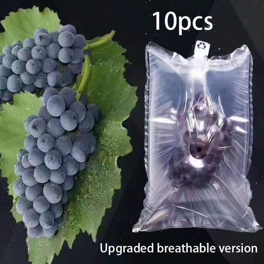 10pcs Grape Cherry Date Fruit Inflatable Bubble Bag Vacuum Double Layer ...