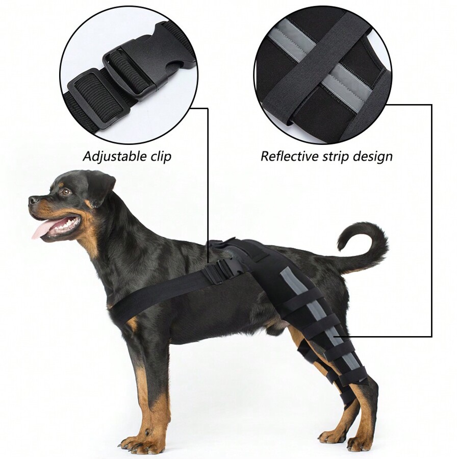 Dog Knee Brace For Hind Leg For Recovery, Protection, And Sprain And ...