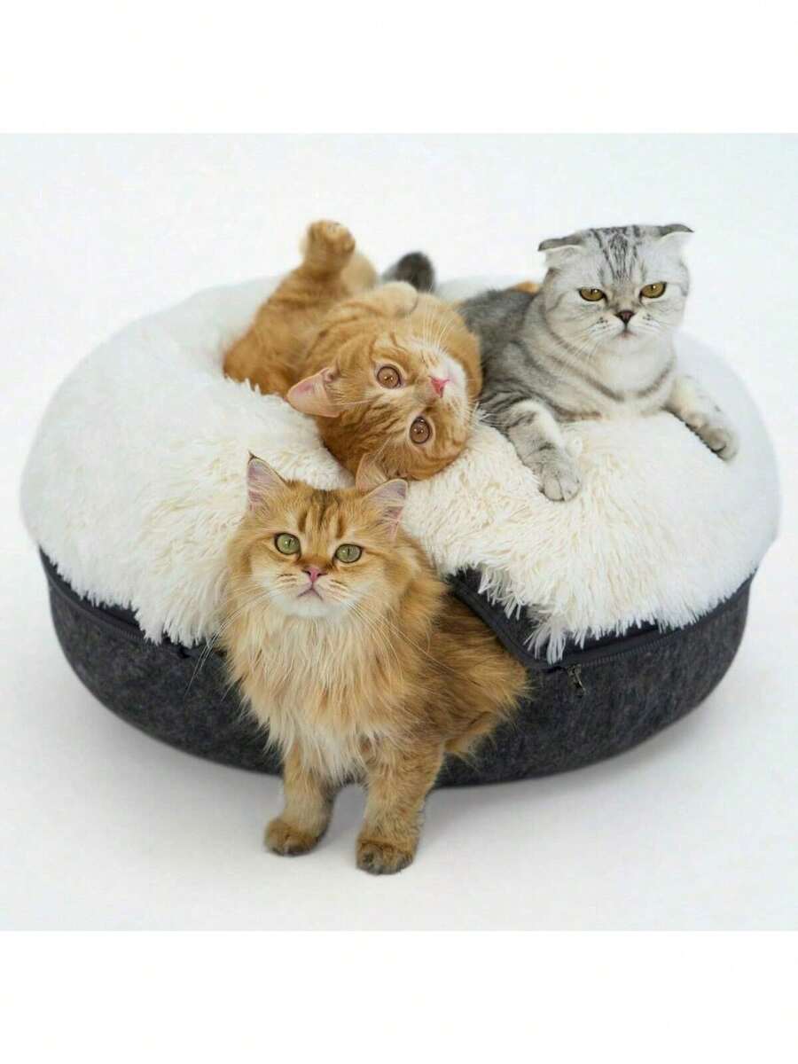 Peekaboo Cat Cave For Multiple & Large Cats Up To 30-45 Lbs, Scratch ...