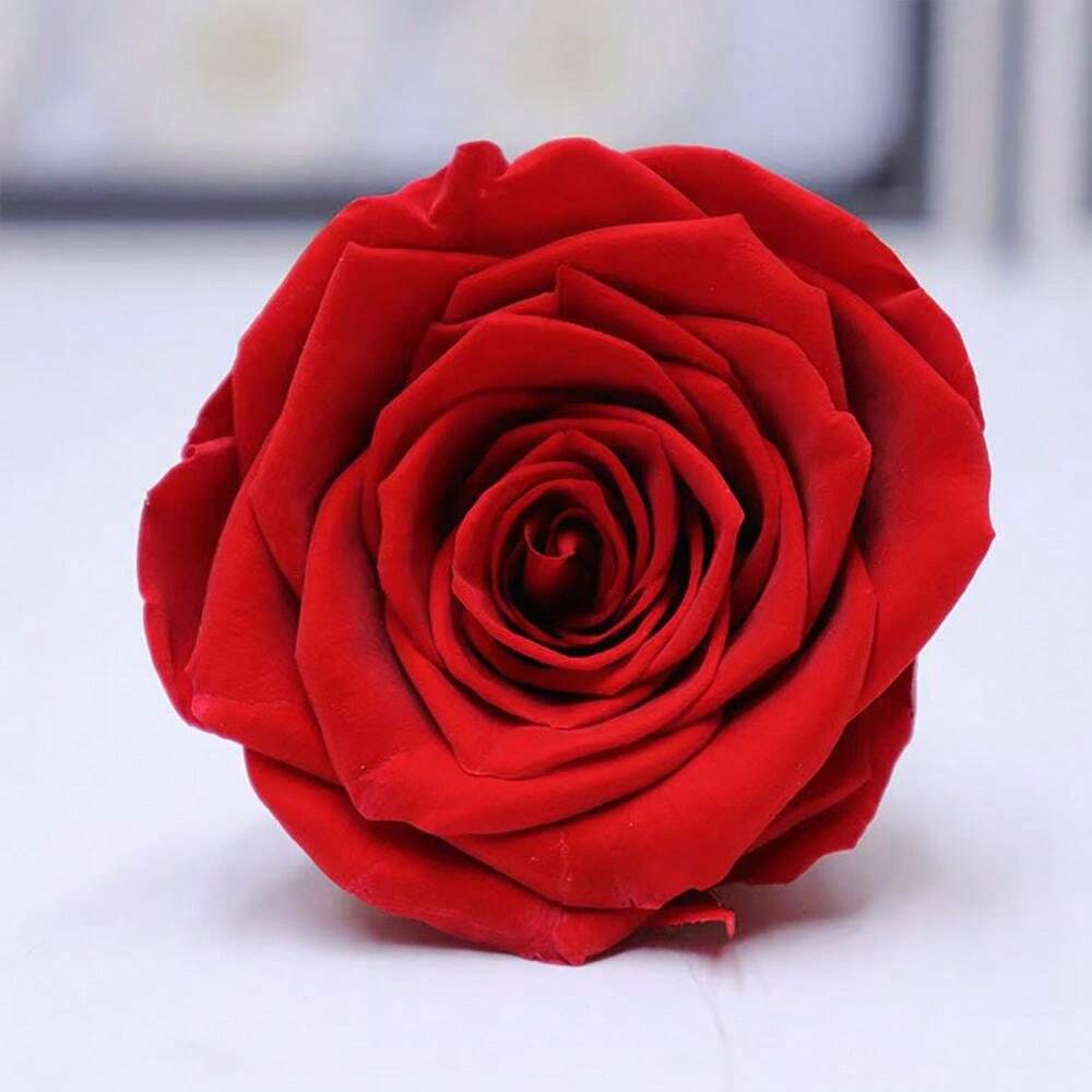 Resin Preserved Rose Flower Heads, Eternal DIY Bouquet Floral Set, No ...