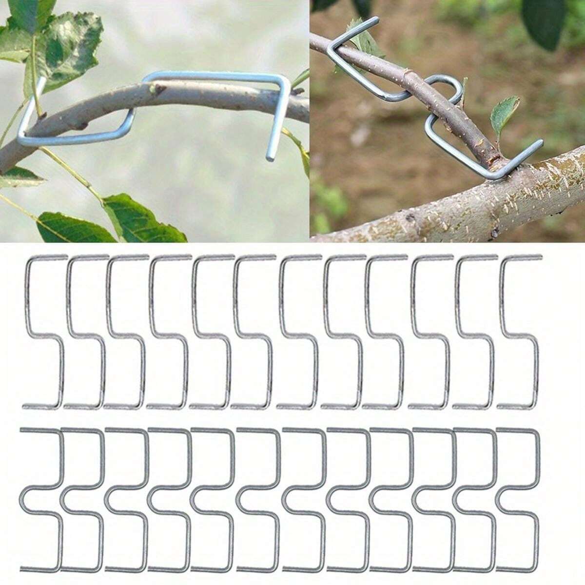 12pcs Fruit Tree Branch Shaper, Tree Branch Anti-Bending Hook, Tree ...