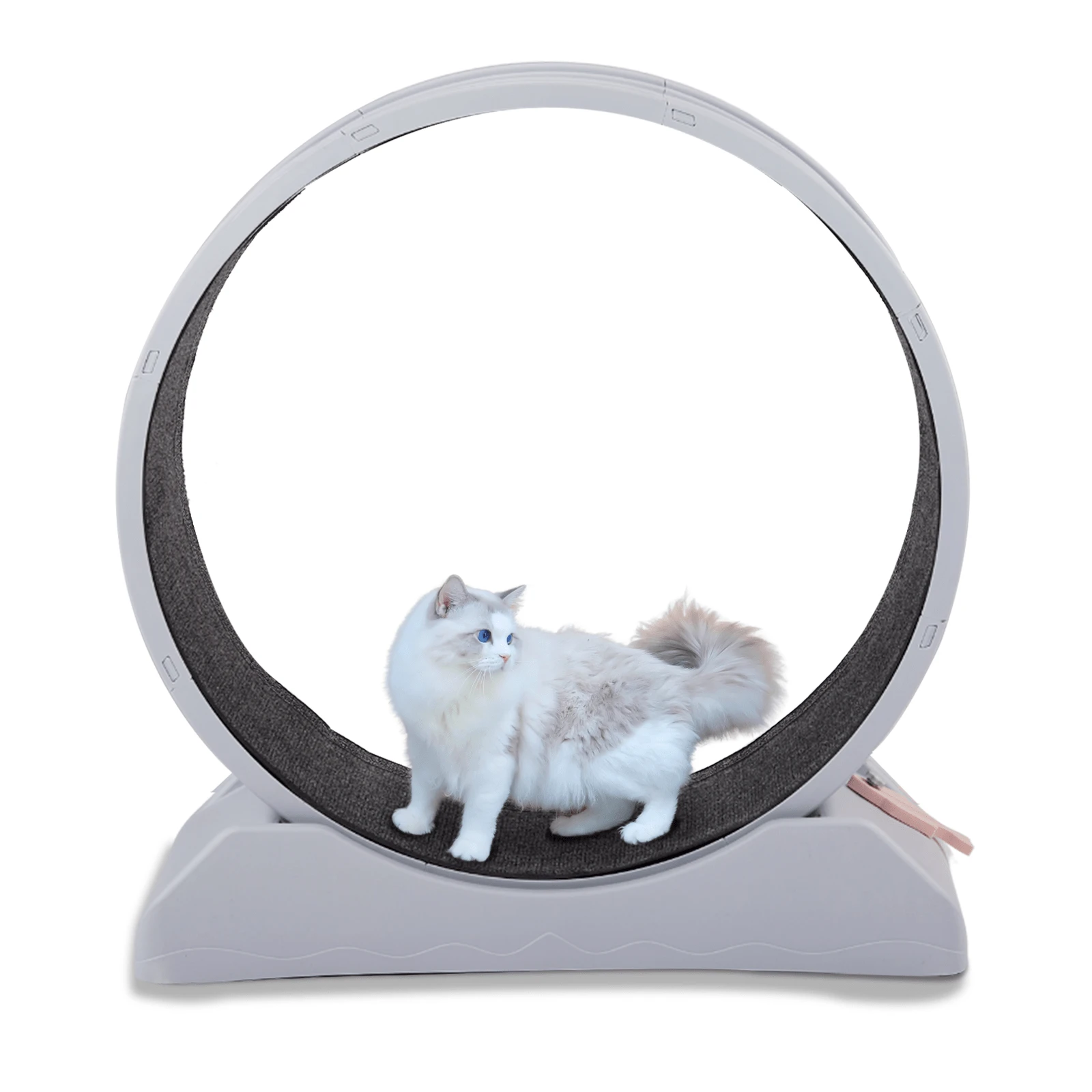 Cat Exercise Wheel, 31 Inch Cat Wheels For Indoor Cats, Cat Treadmill ...