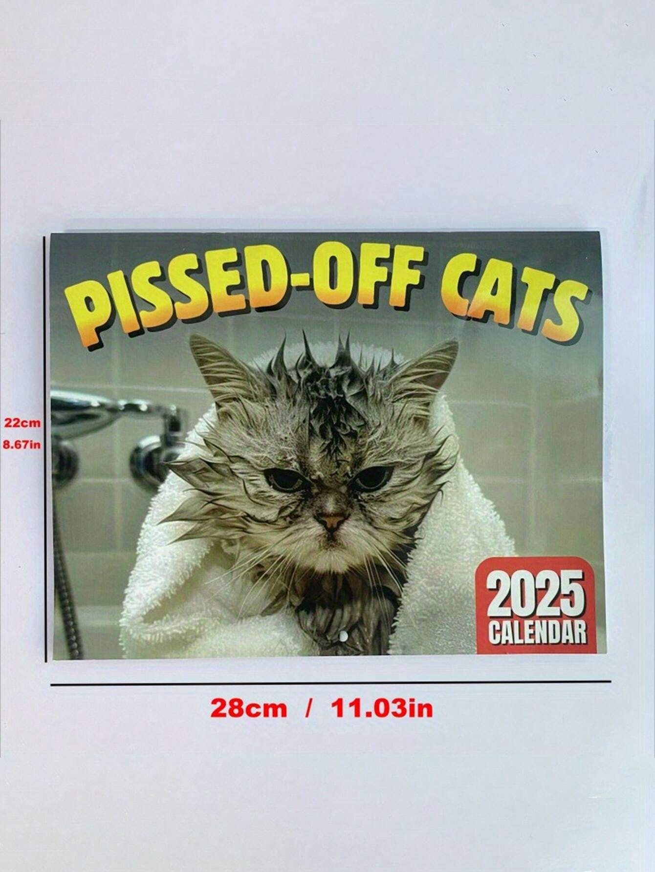 2025 Angry Cat Calendar - Funny Monthly Hanging Calendar, Creative ...