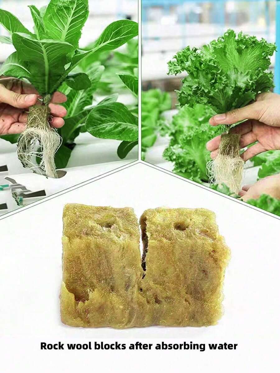 Hydroponic Rockwool Propagation Block, Convenient Slouchy Person Indoor ...