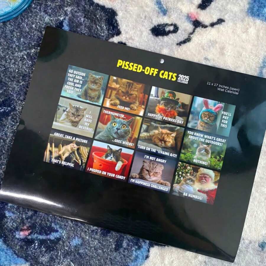 VICNIC 2025 Peed-Off Cats Calendar - Funny Cat Themed Gifts For Cat ...