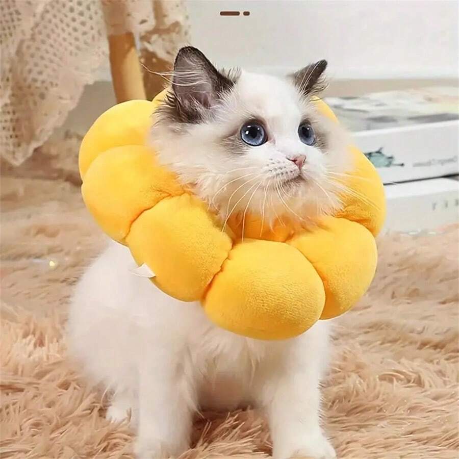Sunflower Elizabeth Collar, Pet Collar Cat Elizabethan Collar Dog ...