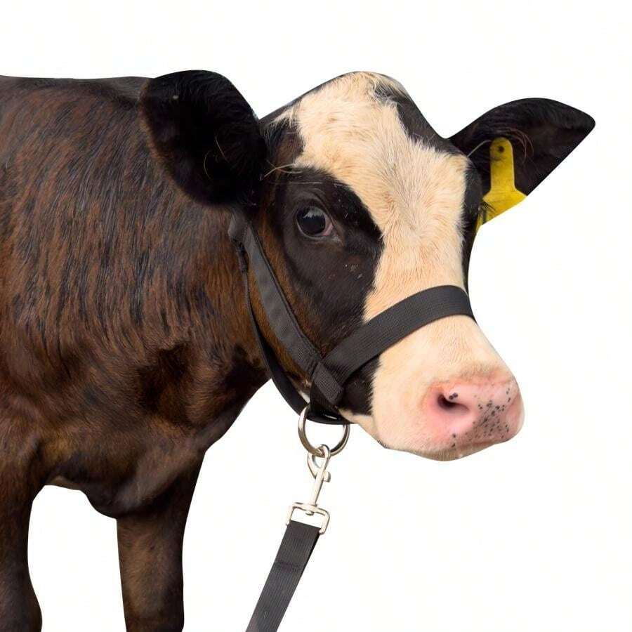 Cow Halter, Cow Halter And Traction Rope, Cow Traction Rope, Adjustable ...