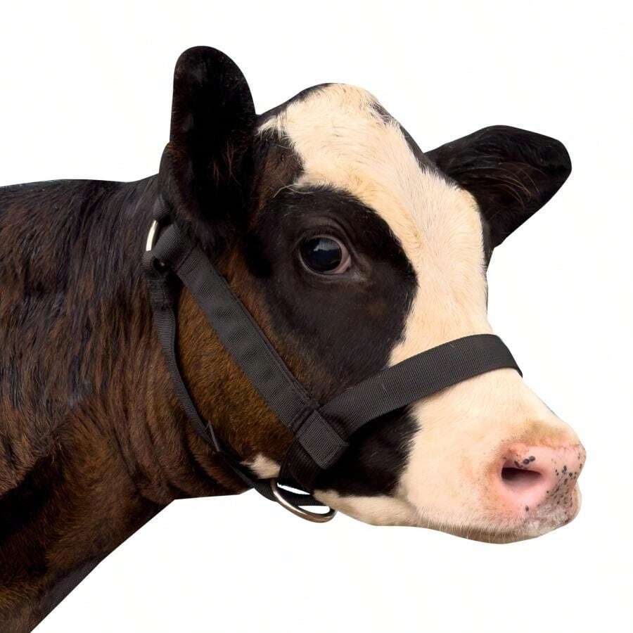 Cow Halter, Cow Halter And Traction Rope, Cow Traction Rope, Adjustable ...