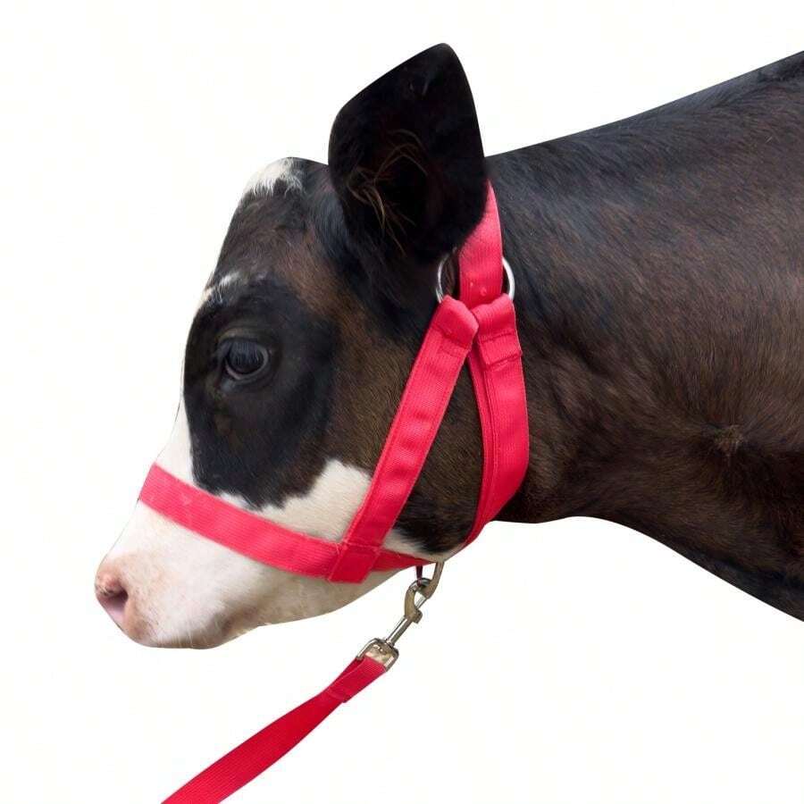 Cow Halter, Cow Halter And Traction Rope, Cow Traction Rope, Adjustable ...