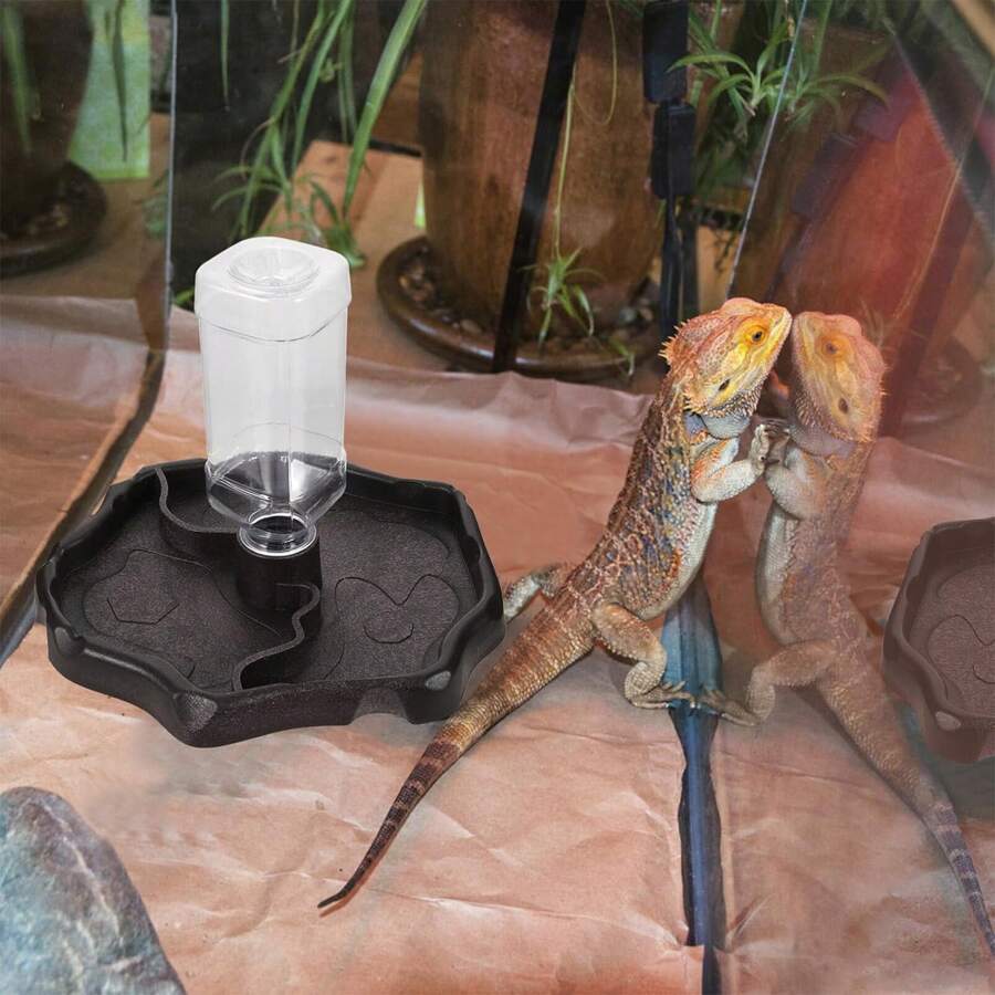Reptile Automatic Water Feeder - Self-Watering Bowl, Reptile Water Dish ...