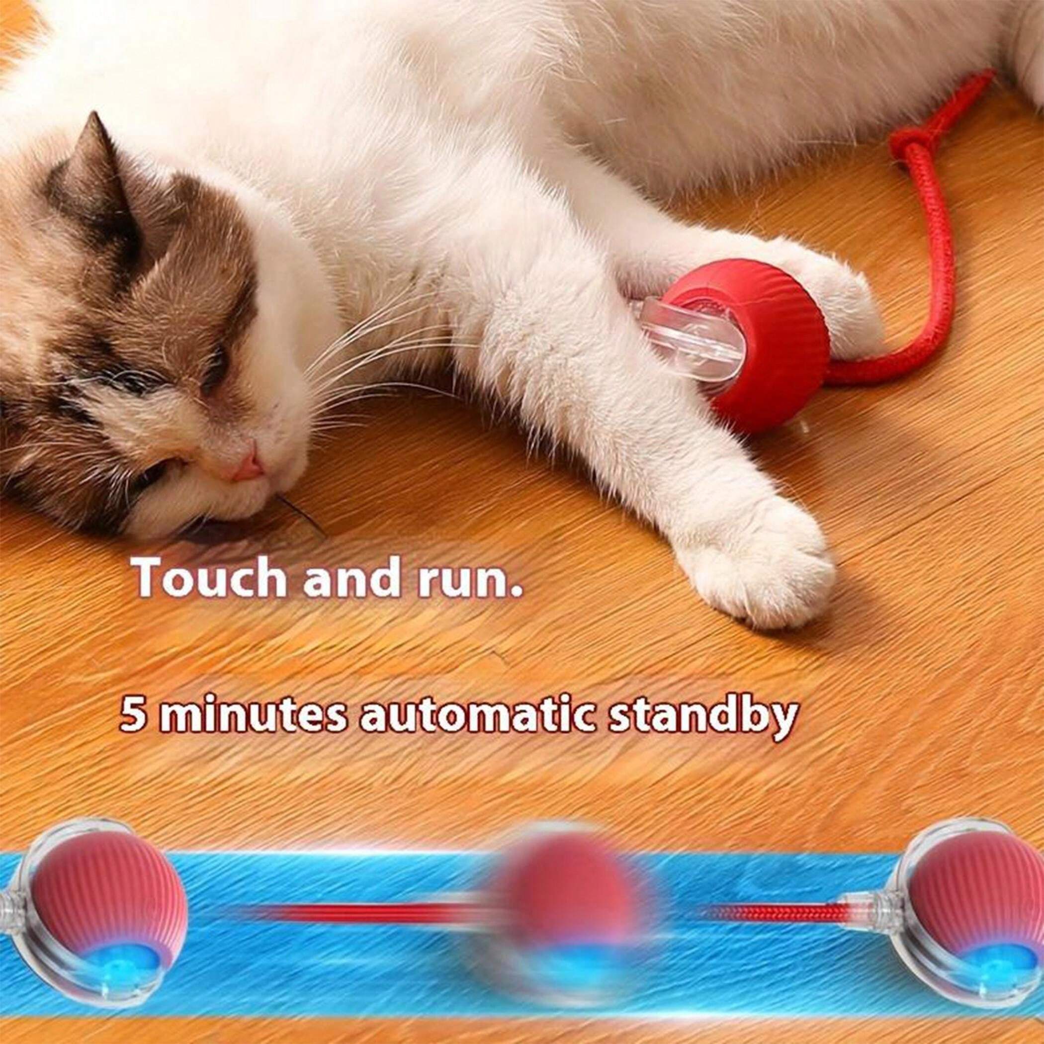 Cat Chase Toy - צעצוע כדורי חתול מפלסטיק פסים עם טעינת USB ופונקציית ...