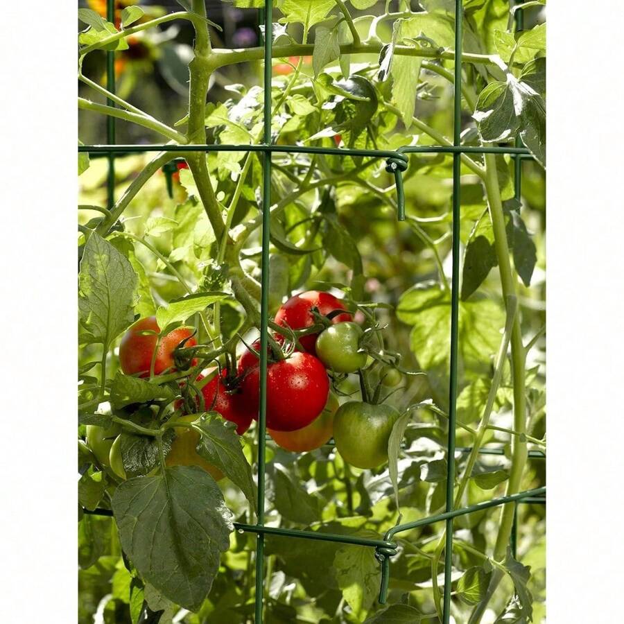 Lifetime Tomato Cages Plant Stand | Heavy Gauge Sturdy Garden Plants ...