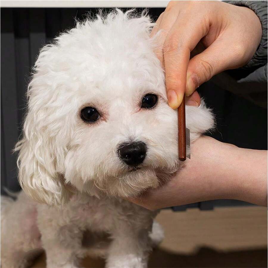 Pet Grooming Set Mini Tear Trace Comb Scissors Set Cat And Dog Cleaning ...