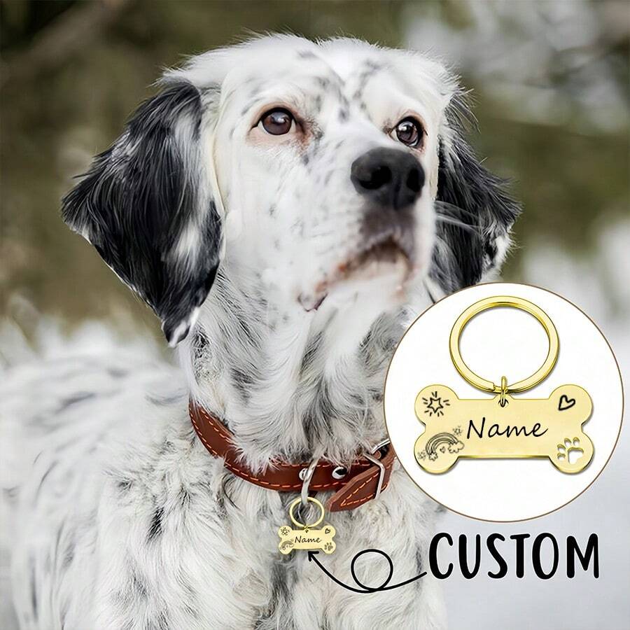 Plaques d'identification personnalisées et gravées pour chiens ...