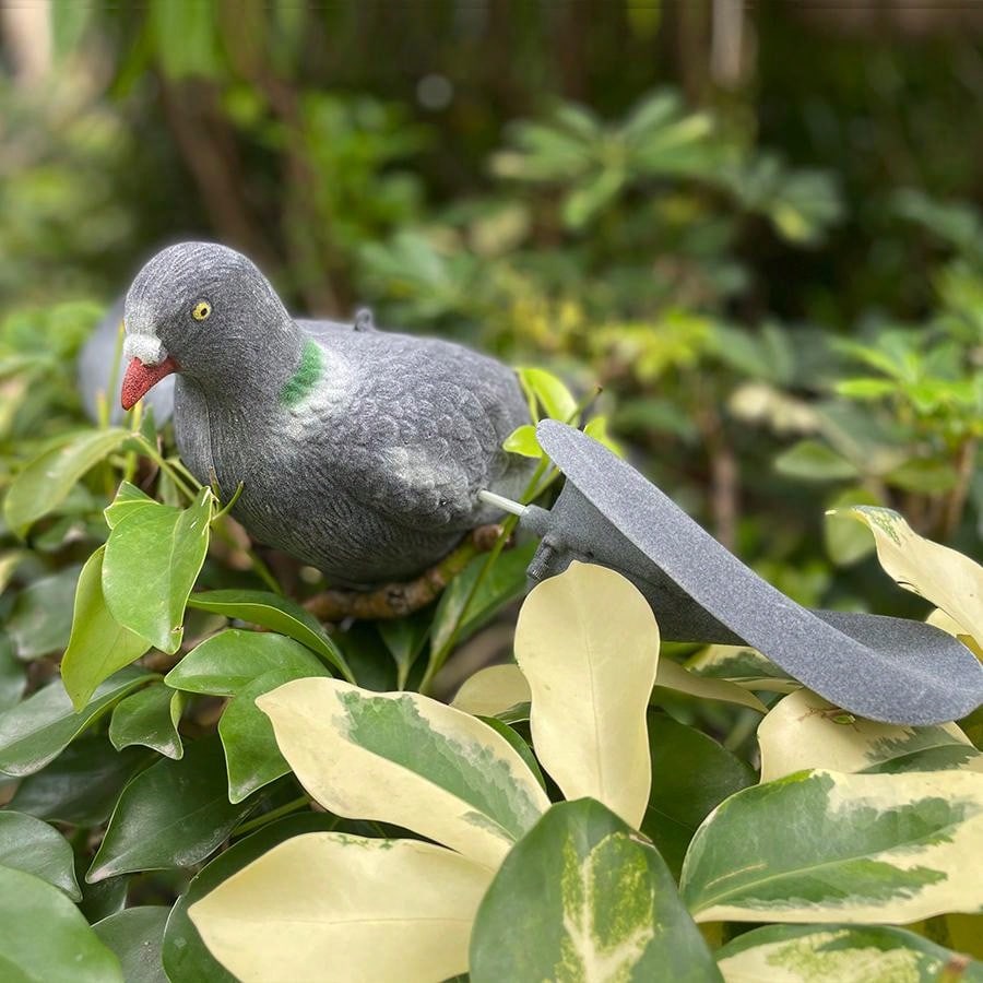 Hunting Lure - Flocked Realistic Pigeon Decoy Model With Wings Rotating ...
