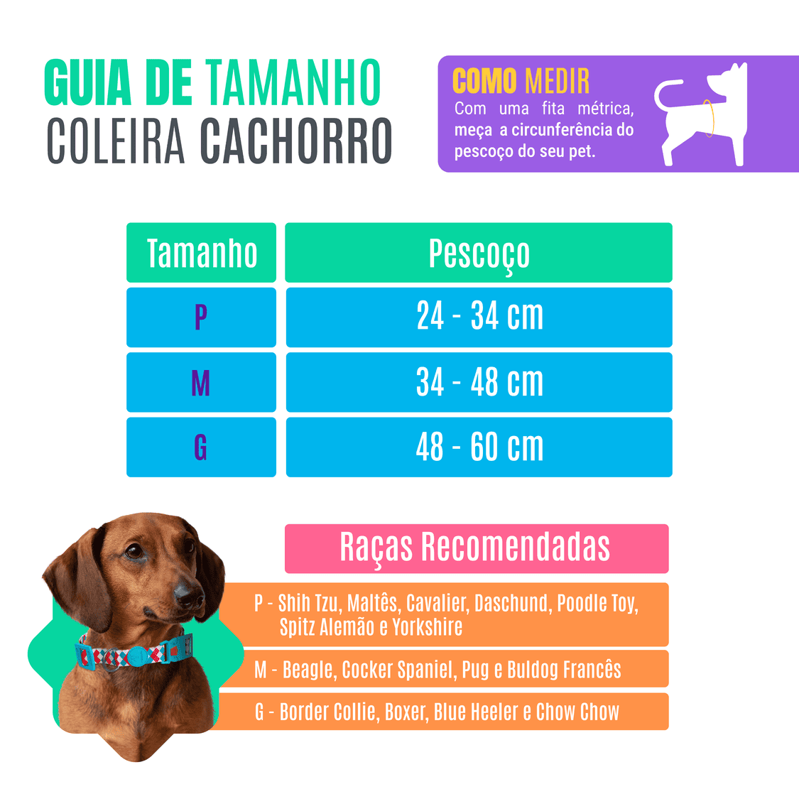 Collar With Identification - Locator - Qr Code - With Pet's Name - For ...