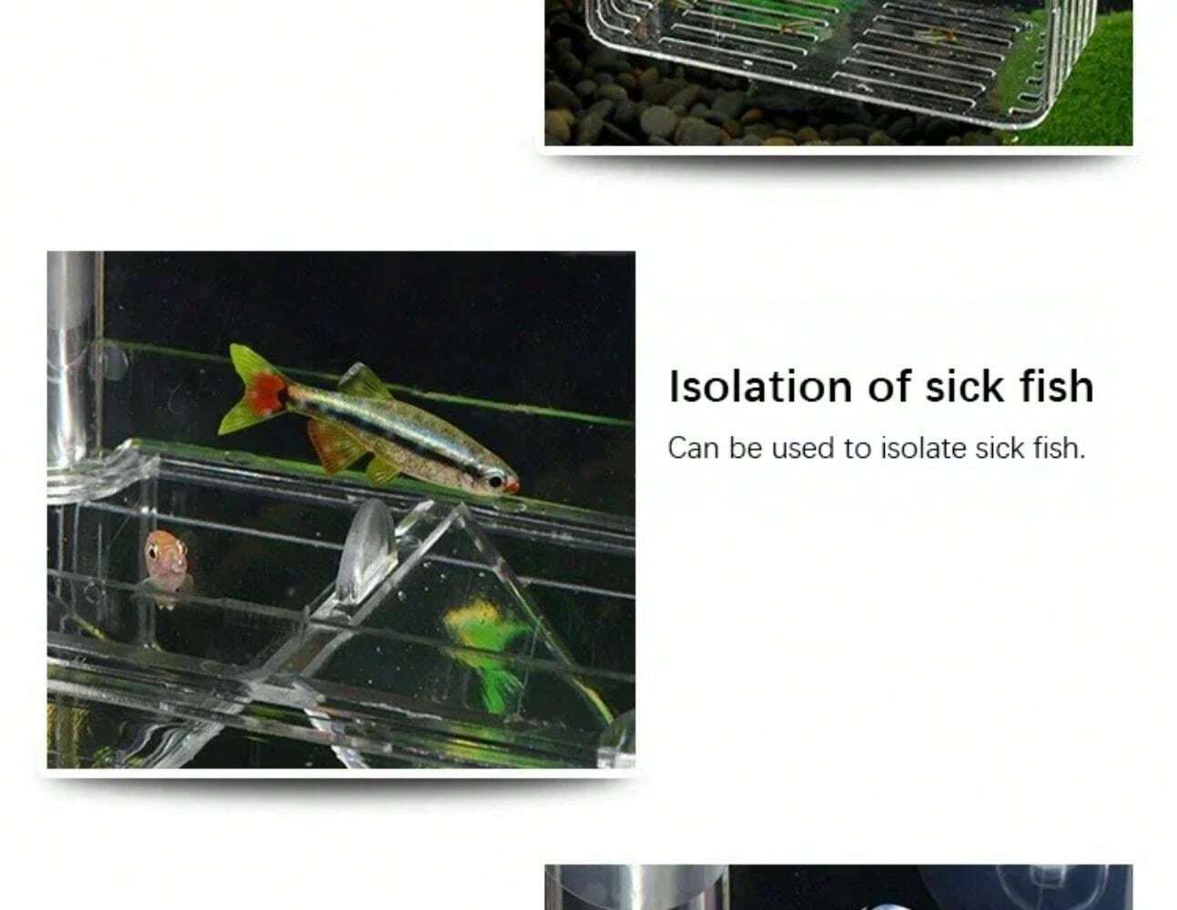 New Aquarium Peacock Fish Incubator Breeding Box Acrylic Isolation Box ...