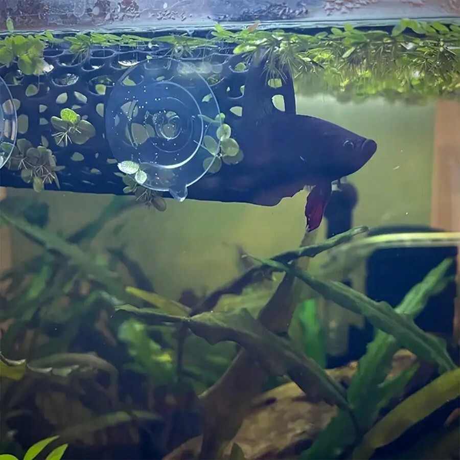 1pc Betta Fish Tunnel - Hideaway Aquarium Decor, PE Material With ...