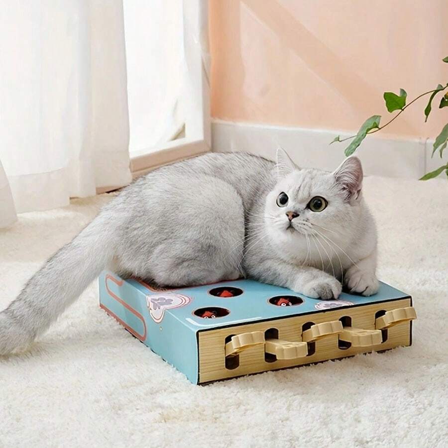 Cat Scratching Board, Boredom Relief Mouse Toy Cat Scratcher ...