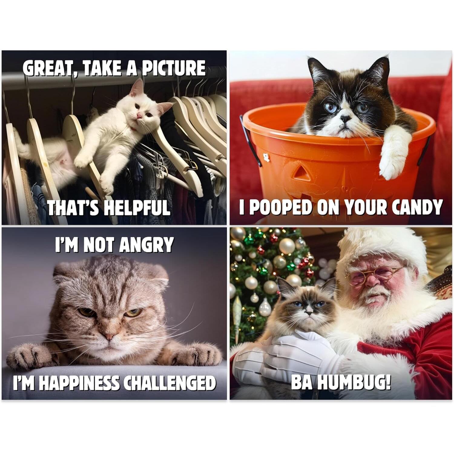 2025 Peed-Off Cats Calendar - Funny Cat Themed Gifts For Cat Lovers ...