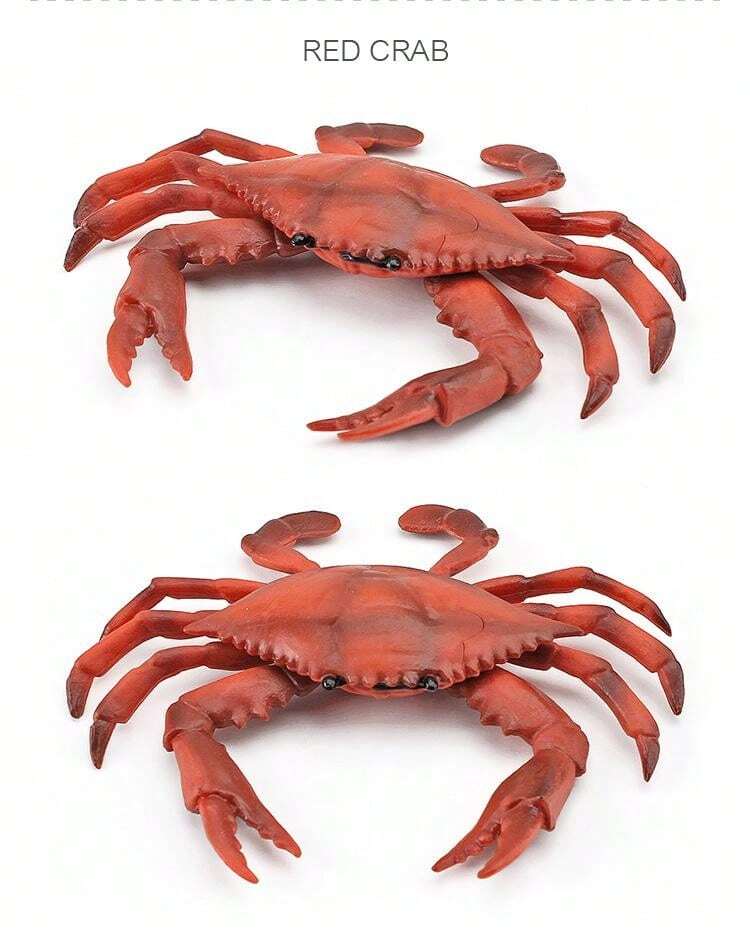 1pc Realistic Fake Seafood Model, Including Crab Roll, Steamed Buns ...