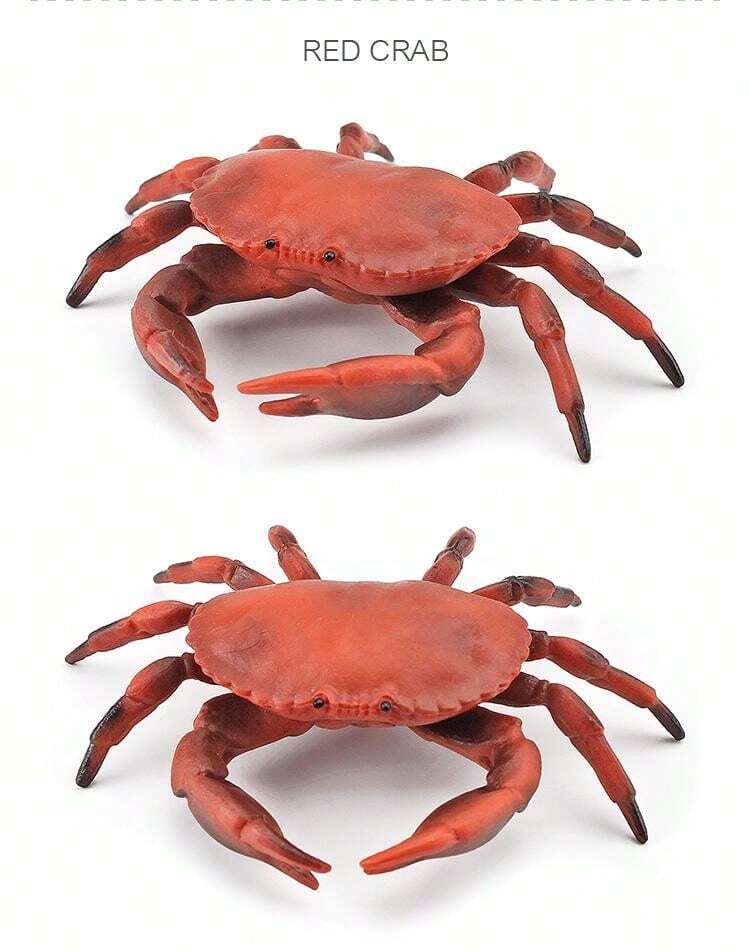 1pc Realistic Fake Seafood Model, Including Crab Roll, Steamed Buns ...