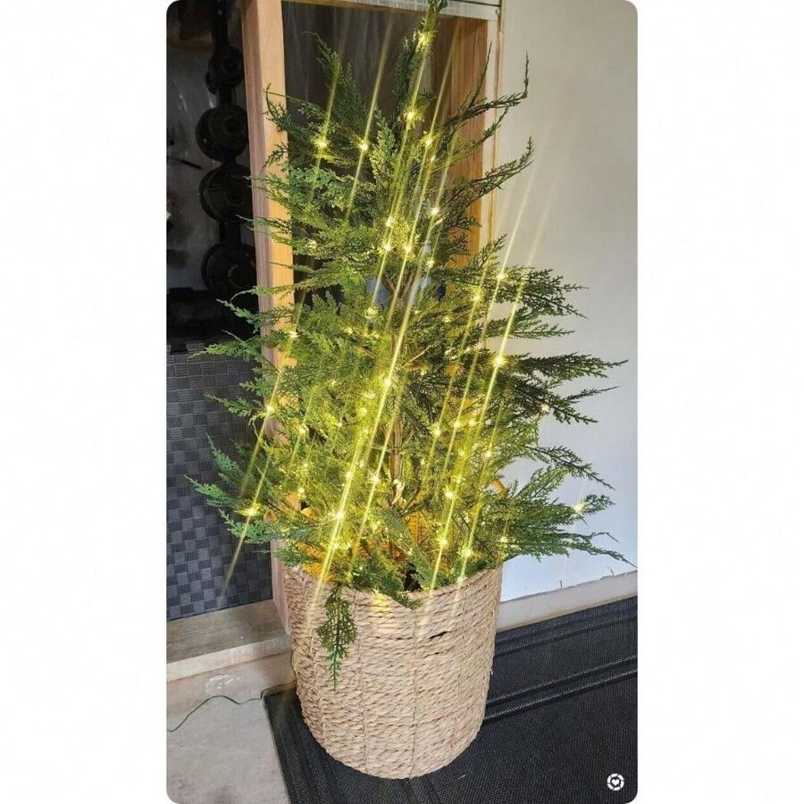 My Texas House Potted 4FT Pre-Lit Cypress Christmas Tree 100 Lights ...