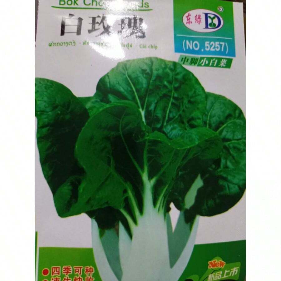 Chinese White Rose Small Pechay Pak Choi Vegetable Seeds ( 2000 Seeds ...
