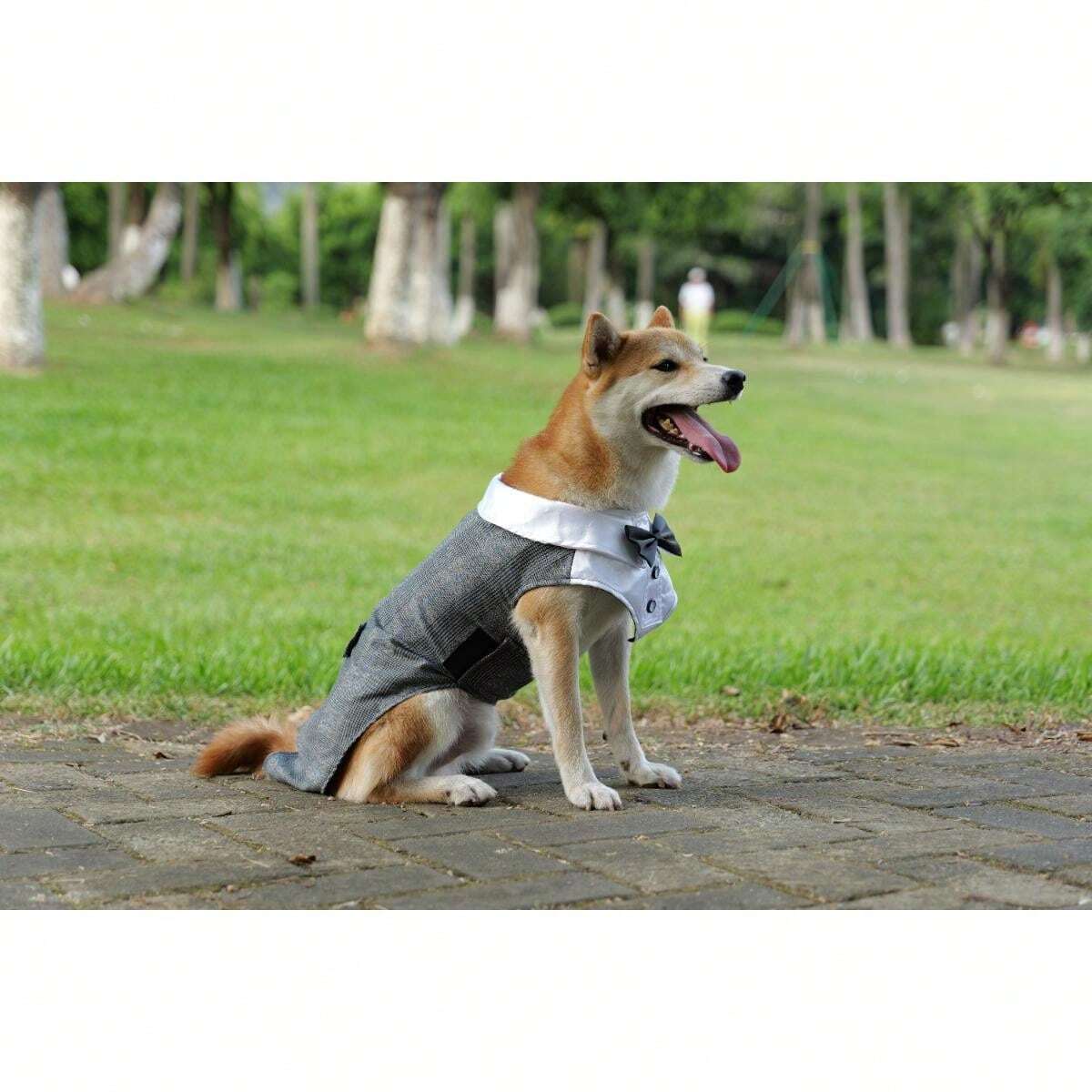 Multi-Size Dog Wedding Suit, Pet Formal Tuxedo Outfit For Parties ...
