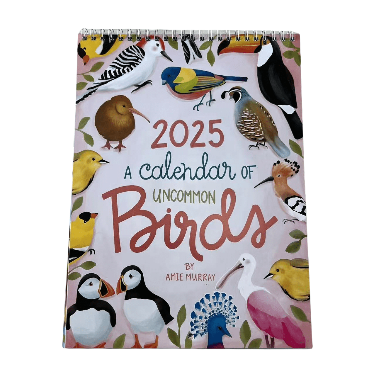 2025 Hand Drawn Bird-Themed Desk Calendar - Bird Lover Calendar New ...