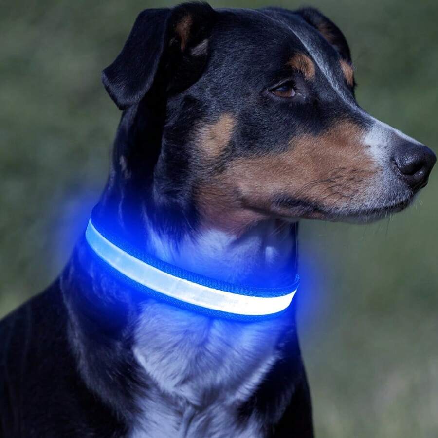 LED Dog Collar, Light Up Dog Collar Adjustable Battery Model Super ...