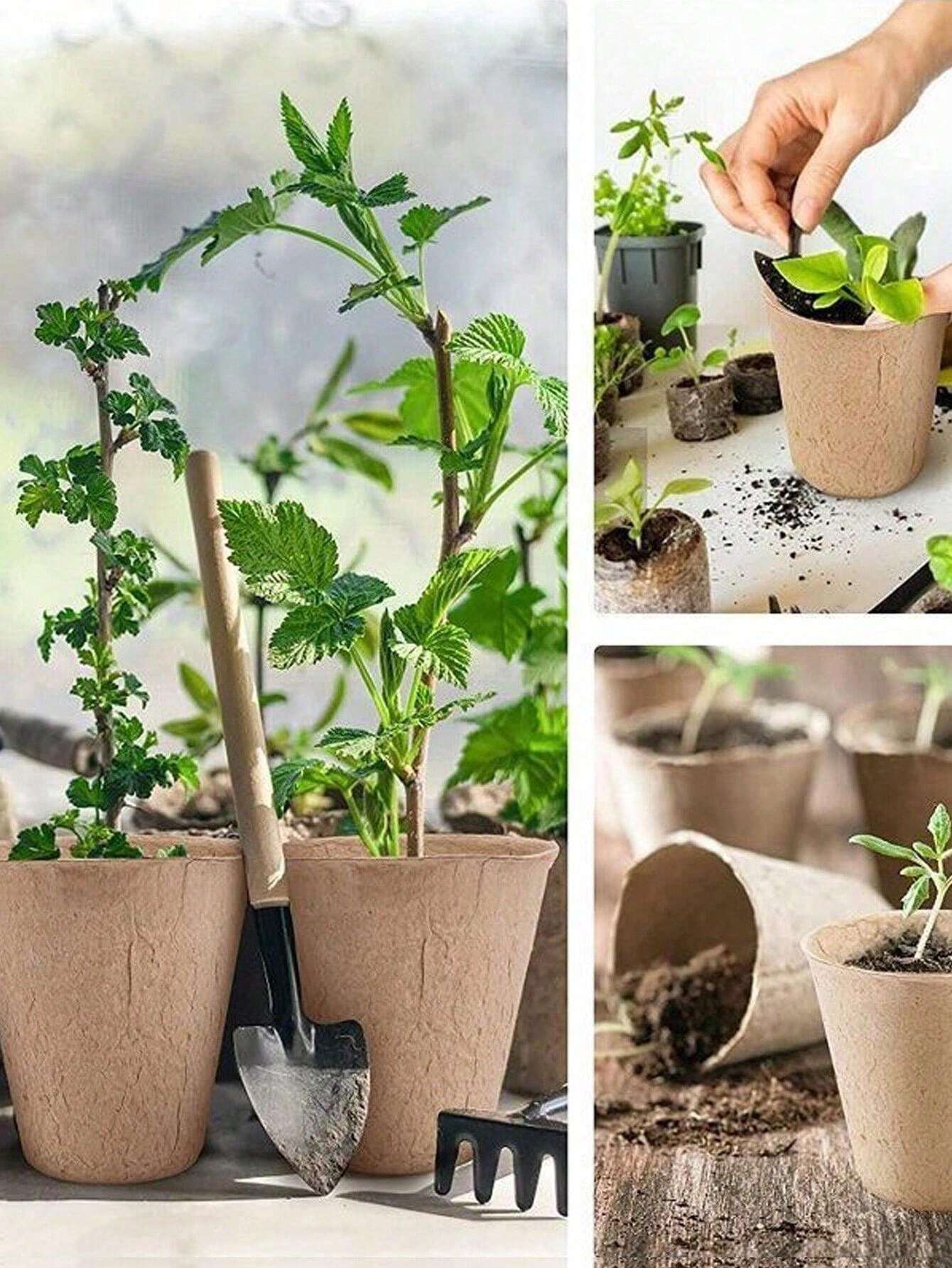 Pulp Nursery Cups, Nutritional Planting Pots For Seedling Cultivation ...