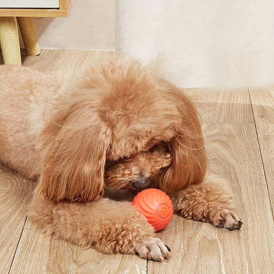 Boule intelligente rechargeable pour animaux de compagnie, boule roulante automatique pour chien ...