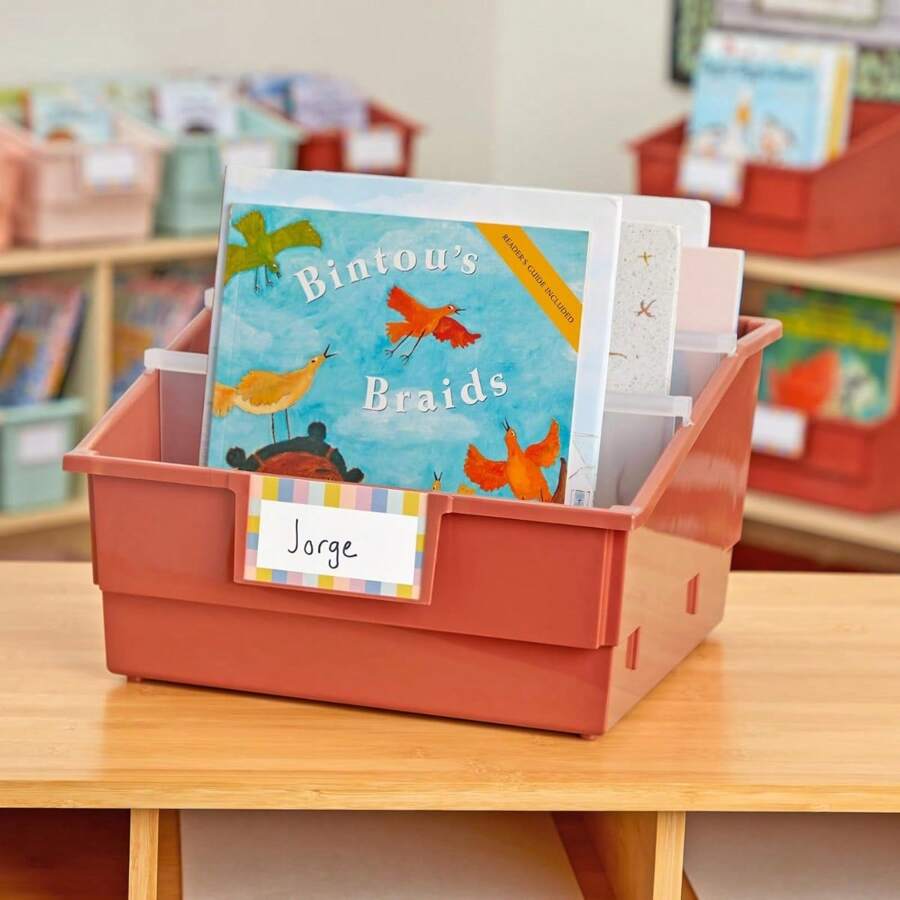 Picture Book Classroom Library Bins With Dividers - 6 Pack - Clay ...