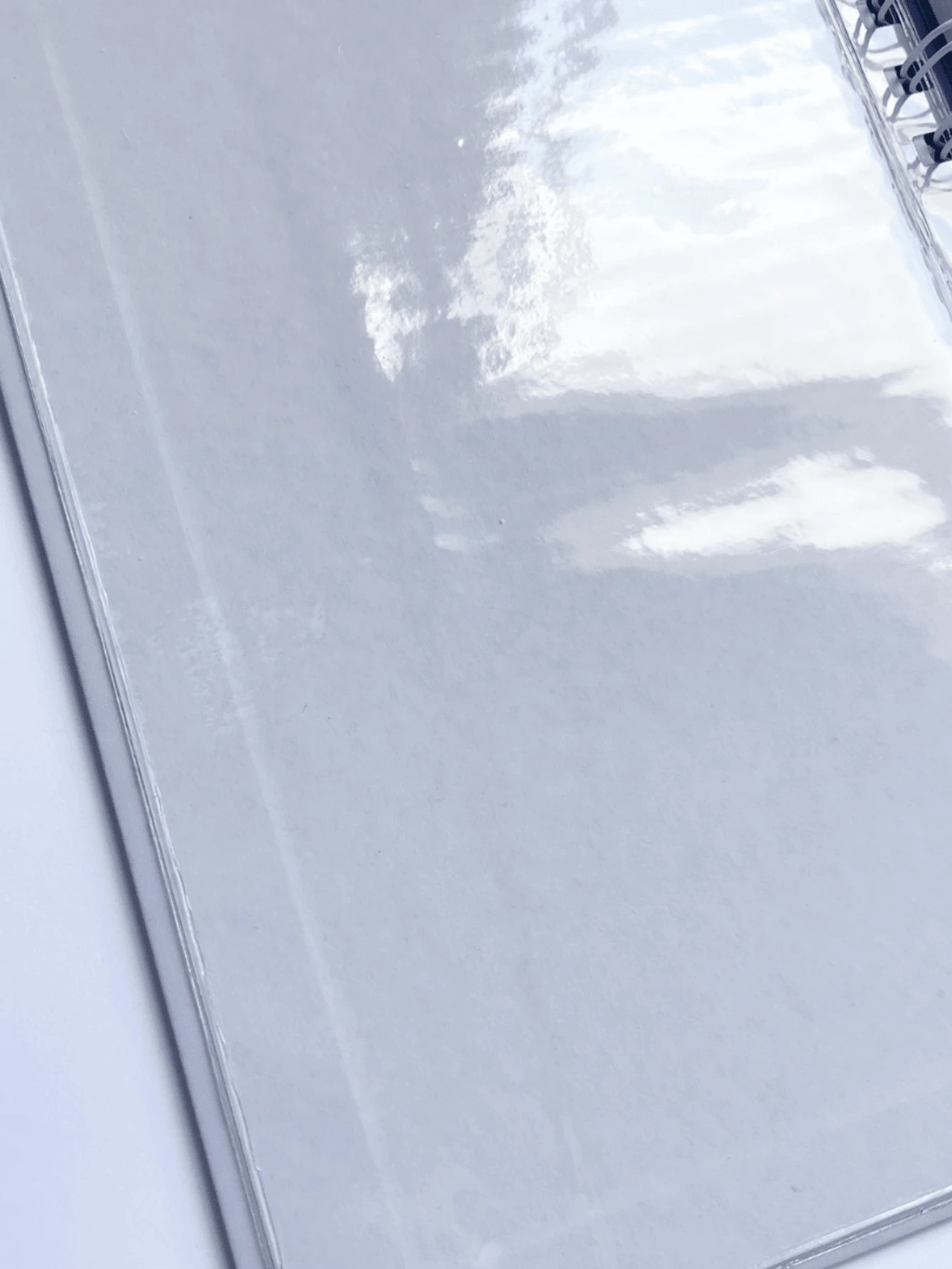 Personalized Vaccination Booklet | Novo | SHEIN USA