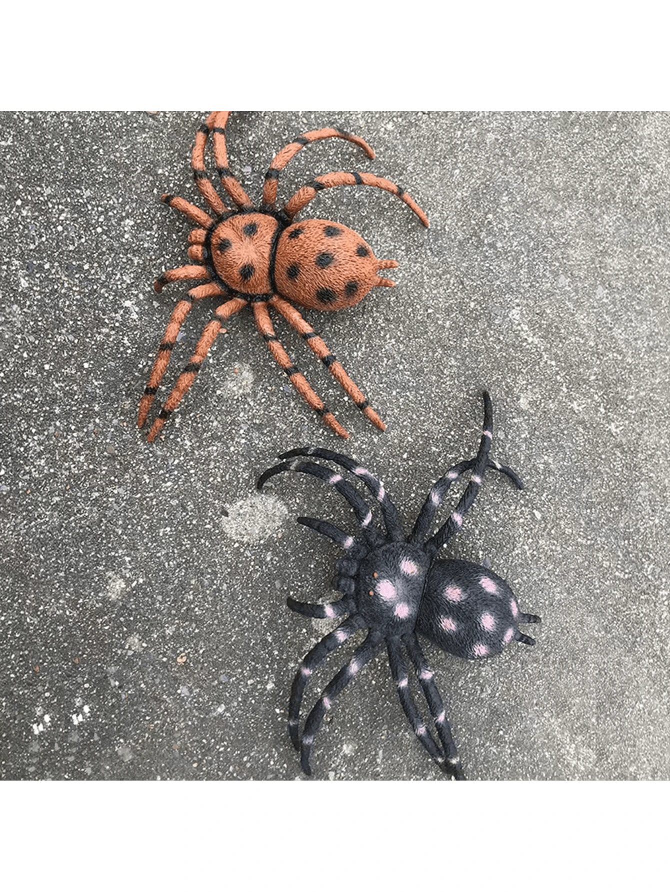 New 20cm Realistic Giant Spider Model, Scary Wolf Spider Insect ...