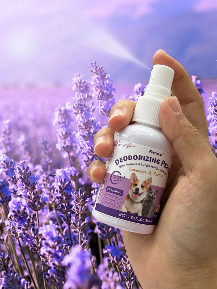 petstoral Premium Lavender Pet Perfume | Dog Perfume Long Lasting Spray ...