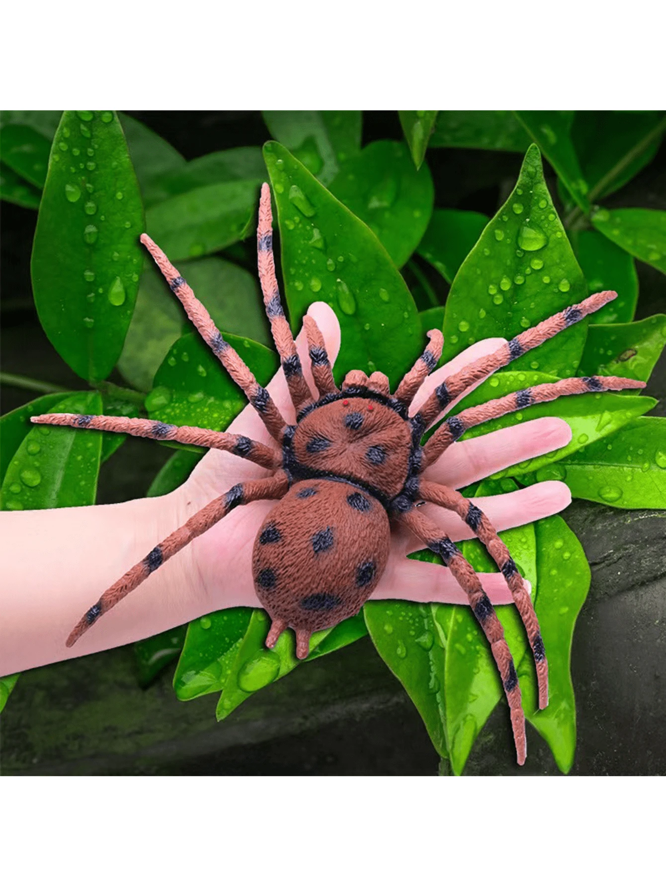 New 20cm Realistic Giant Spider Model, Funny Prank Scary Wolf Spider ...