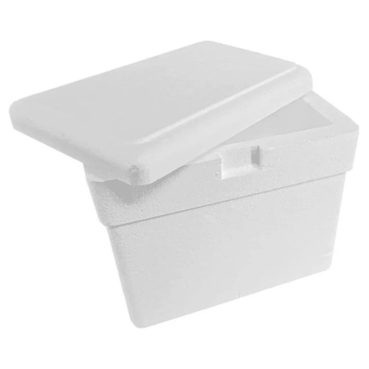 3 Liters EPS Styrofoam Cooler Box | SHEIN USA
