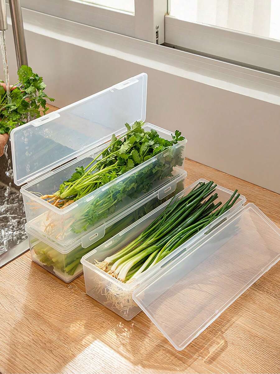 Clear Plastic Vegetable Storage Box: Multi-Purpose, Drainage, And ...