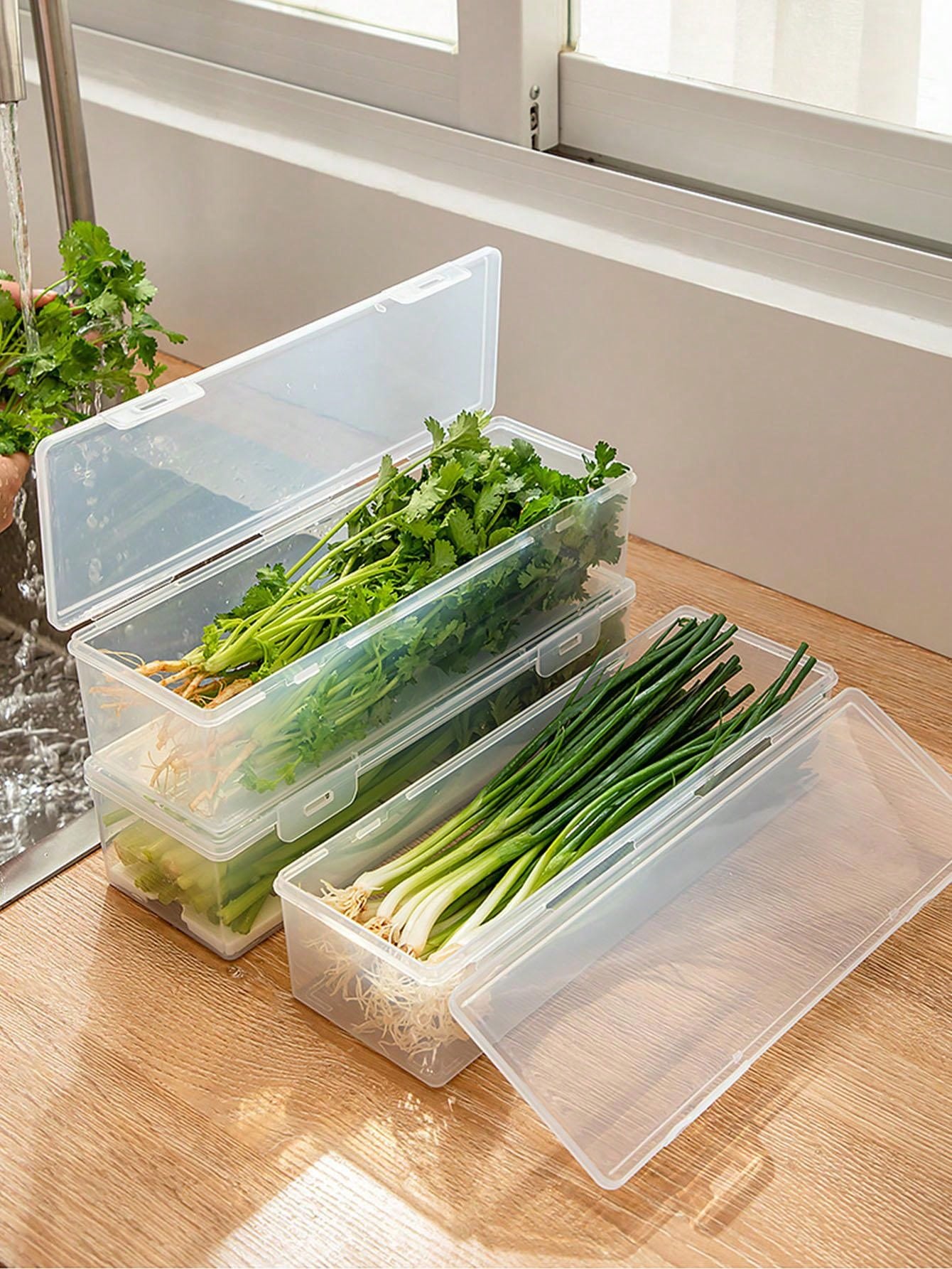 Clear Plastic Vegetable Storage Box: Multi-Purpose, Drainage, And ...