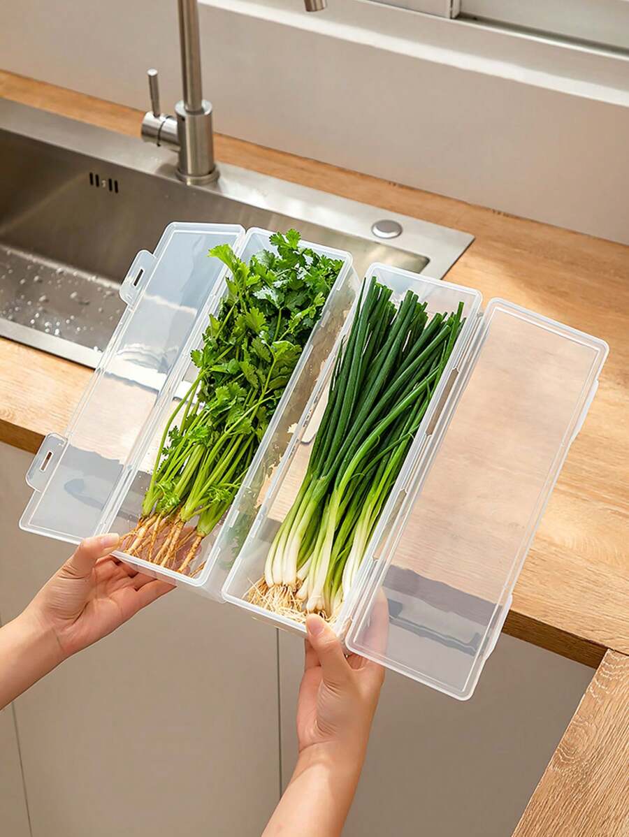 Clear Plastic Vegetable Storage Box: Multi-Purpose, Drainage, And ...