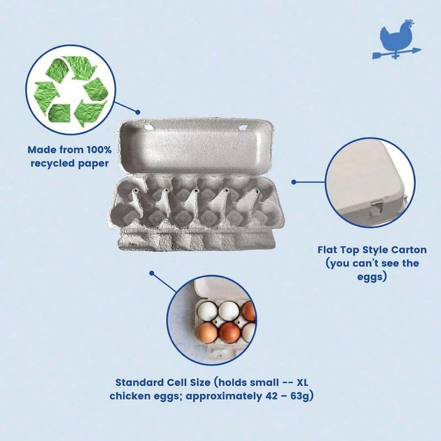 Blank 12-Egg Flat Top Paper Pulp Carton | SHEIN USA