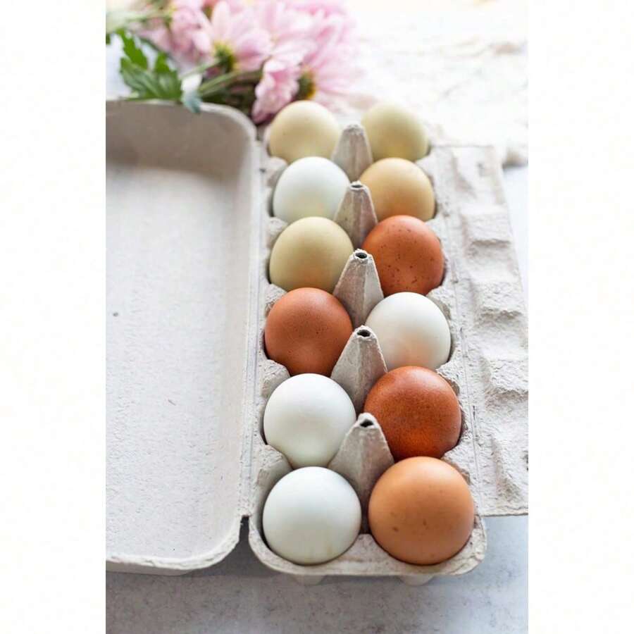 Blank 12-Egg Flat Top Paper Pulp Carton | SHEIN USA