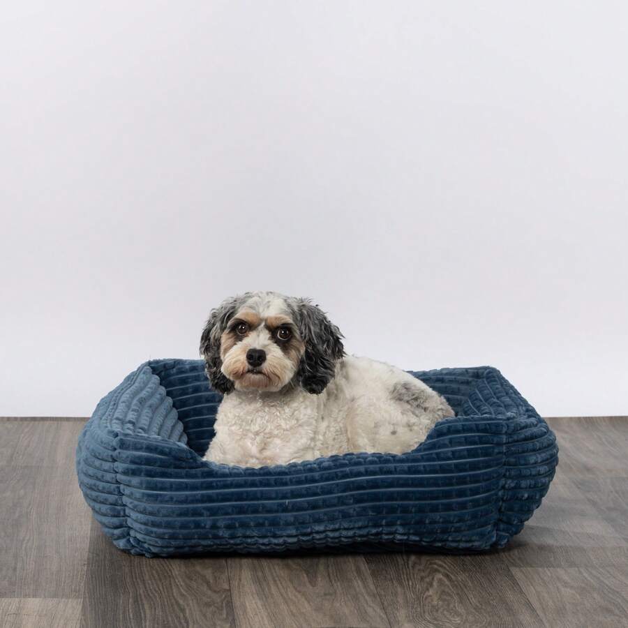 Modern Threads JACQUARD WAFFLE SUPER PLUSH CUDDLER | شي إن