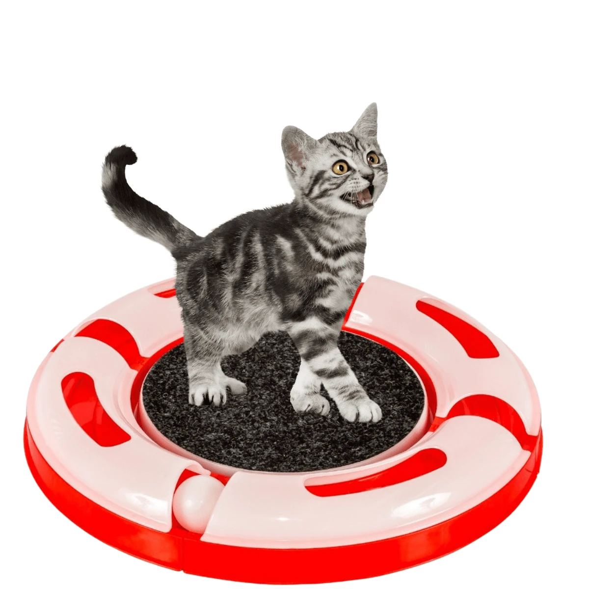 Interactive Round Scratcher For Cats Relax With Ball Meow Jel Plast ...