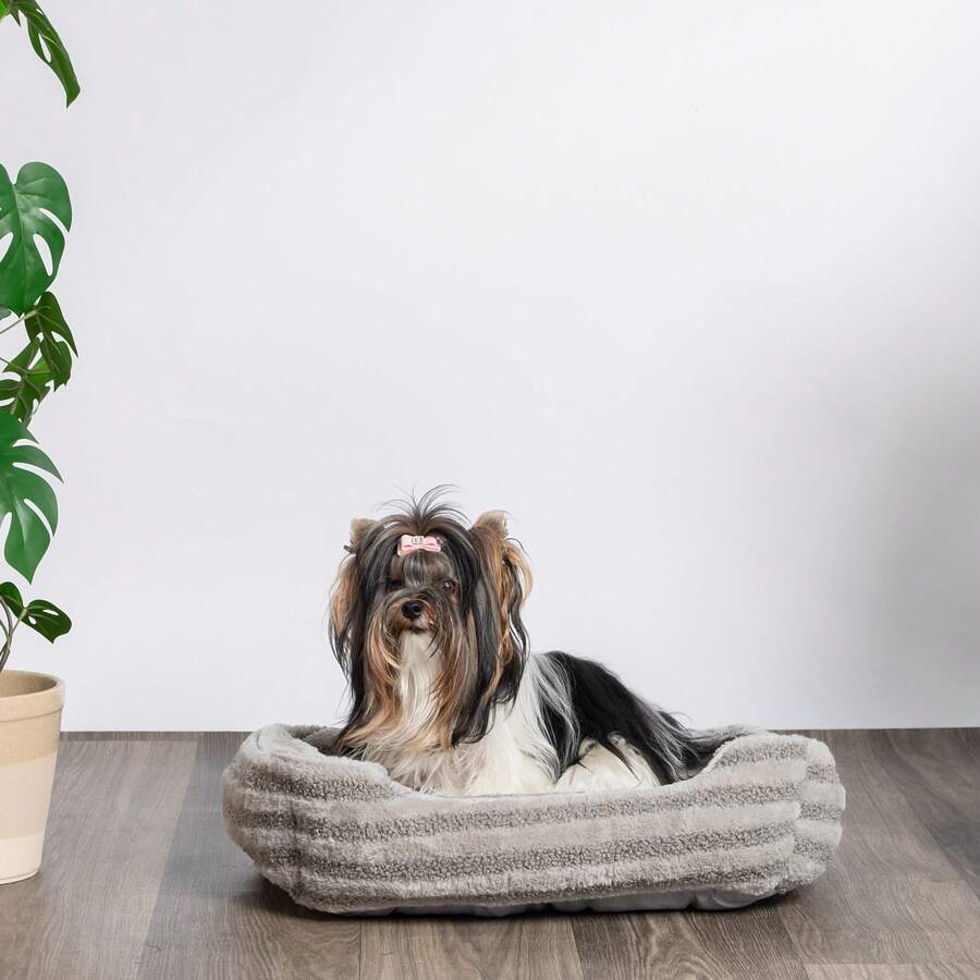 Modern Threads COZY SHERPA PLUSH CUDDLER | SHEIN Brasil