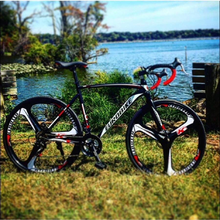 Dual Disc Brake XC550 Road Bike 21 Speed Shifting System 54Cm Steel Frame 700C 3-Spoke Wheels ...